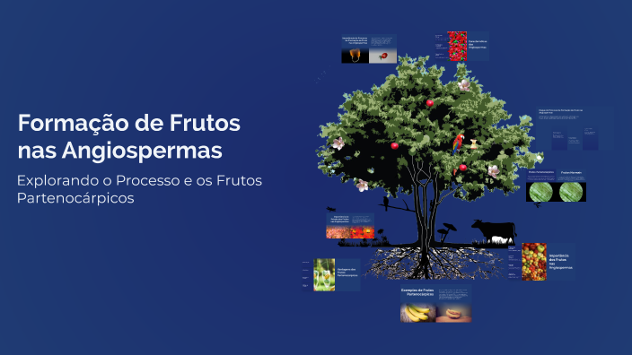 Formação de Frutos nas Angiospermas by Ana Evili on Prezi