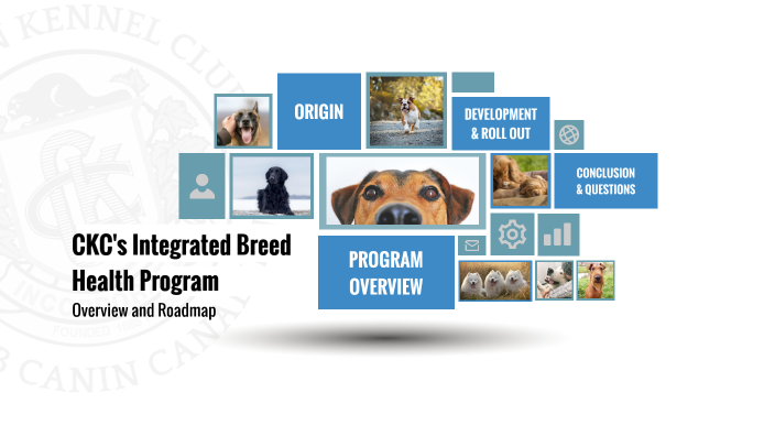 Integrated Breed Health Program by Jackiy Boychuk