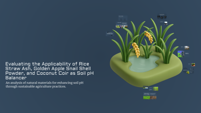 Evaluating the Applicability of Rice Straw Ash, Golden Apple Snail ...