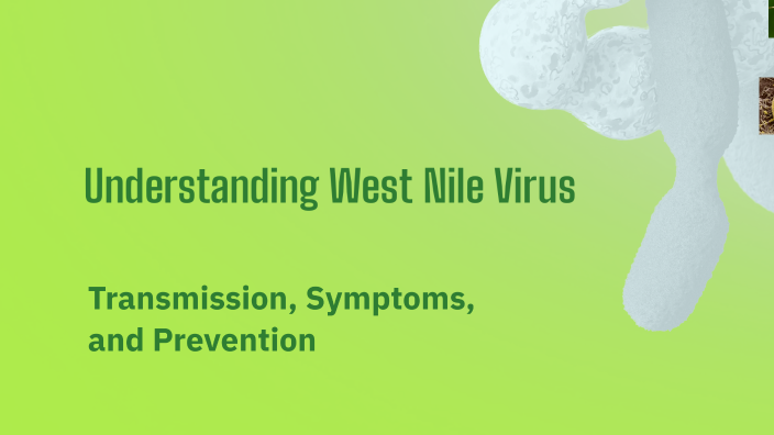 Understanding West Nile Virus by Mackenzie Brister on Prezi