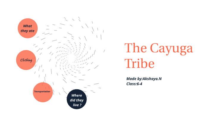 The Cayuga Tribe by Akshaya Nittala on Prezi