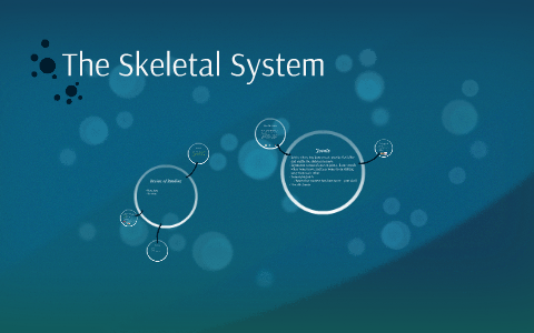 The Skeletal System by on Prezi