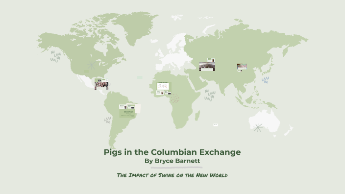 Pigs in the Columbian Exchange by Bryce Barnett on Prezi