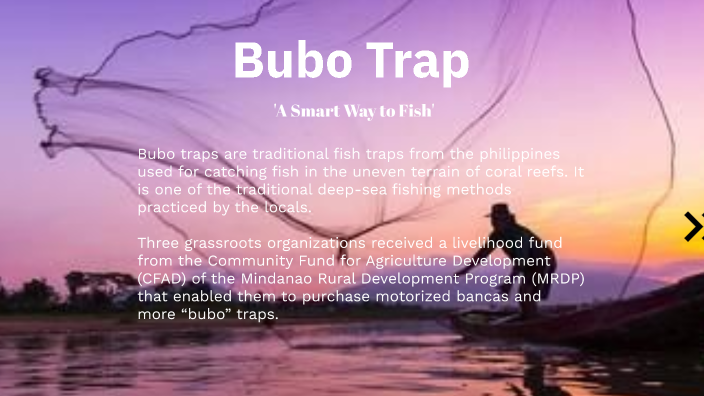 Bubo Trap 'A Smart Way to Fish by Ailyn ODI on Prezi