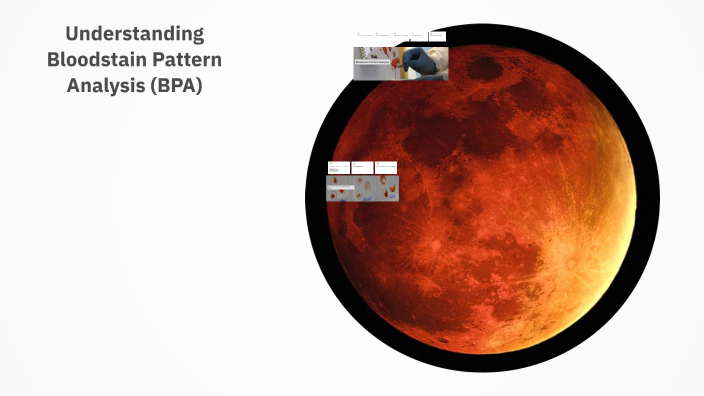 Understanding Bloodstain Pattern Analysis (BPA) by Benjii Hall on Prezi