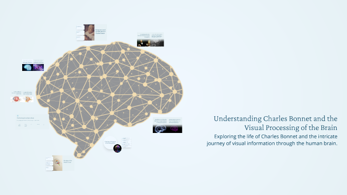Understanding Charles Bonnet and the Visual Processing of the Brain by ...