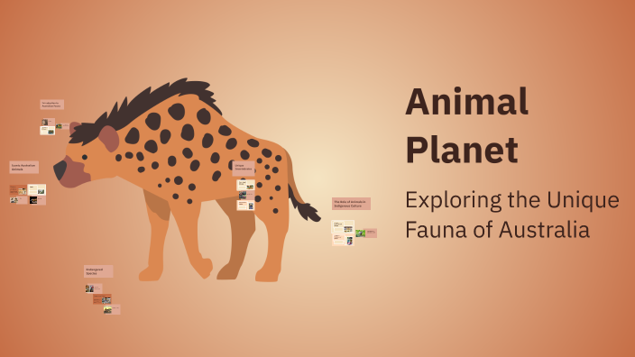 Animal Planet by Iulia Sirbu on Prezi