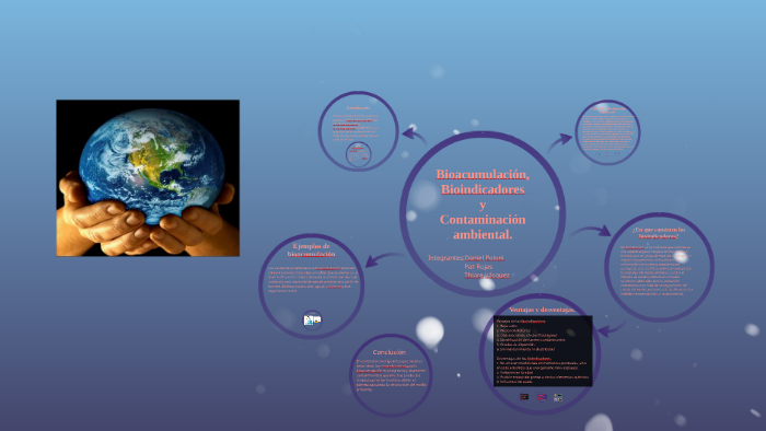 Bioacumulación, by Belen Fuentes on Prezi