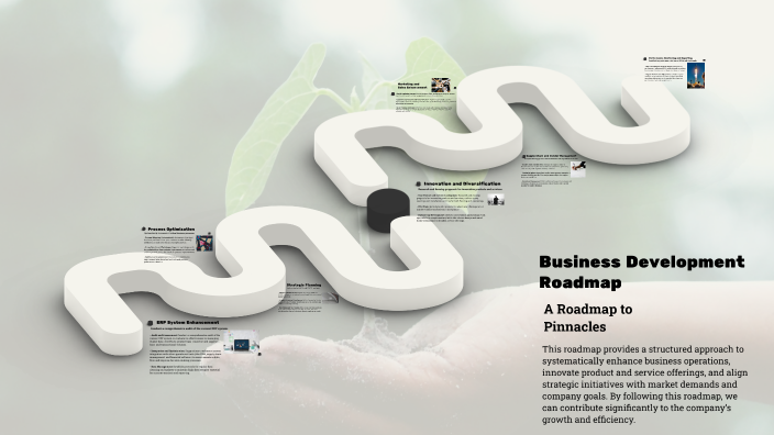 Business Development Roadmap by ibrahim arouri on Prezi