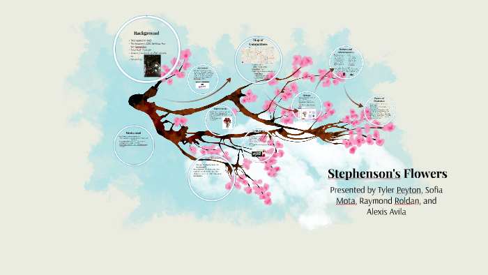 Stephenson's Flowers by project stephonsons flower shop on Prezi