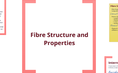 Fibre Structure and Properties by Emily Taylor on Prezi