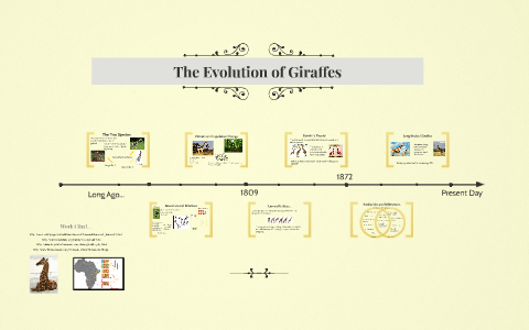 The Evolution of Giraffes by Bianca Ward on Prezi