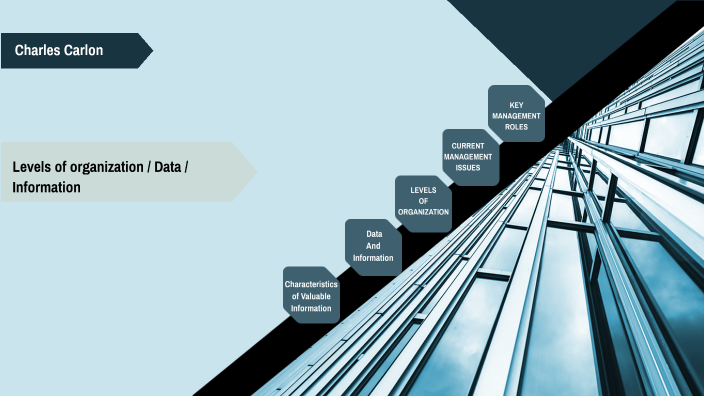 Levels of organization / Data / Information by charles carlon on Prezi