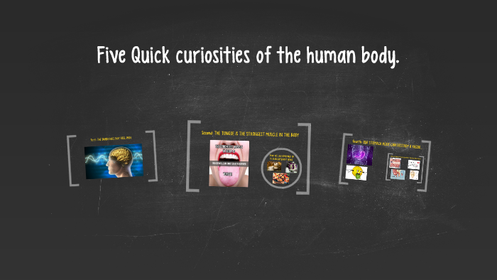 Five Quick curiosities of the human body. by Flavia Pinti on Prezi