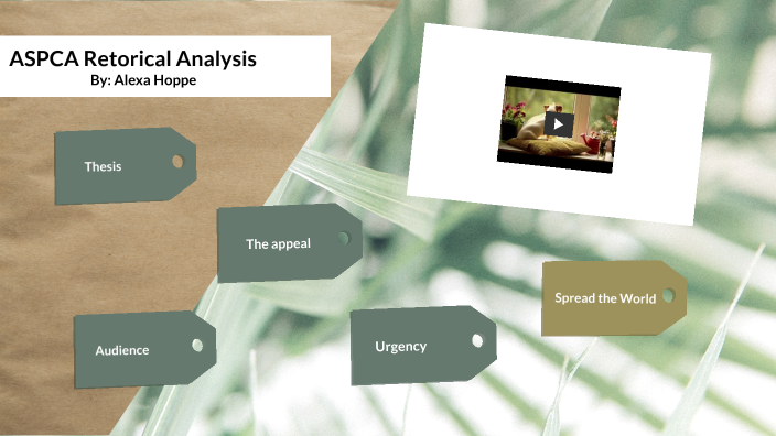 English by Alexa Hoppe on Prezi