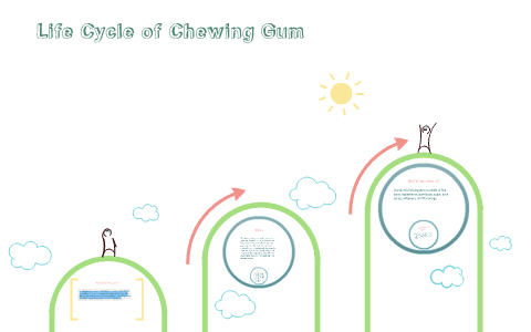 LIFE CYCLE OF CHEWING GUM by Hailey Duong on Prezi