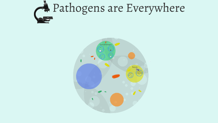 Pathogens Are Everywhere by Cole Burch on Prezi