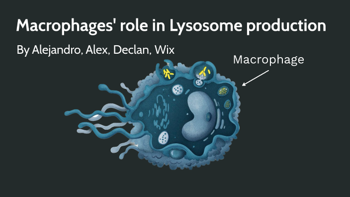 AP Bio Cell Project Part 2 Video by Wix Werner-Lester on Prezi