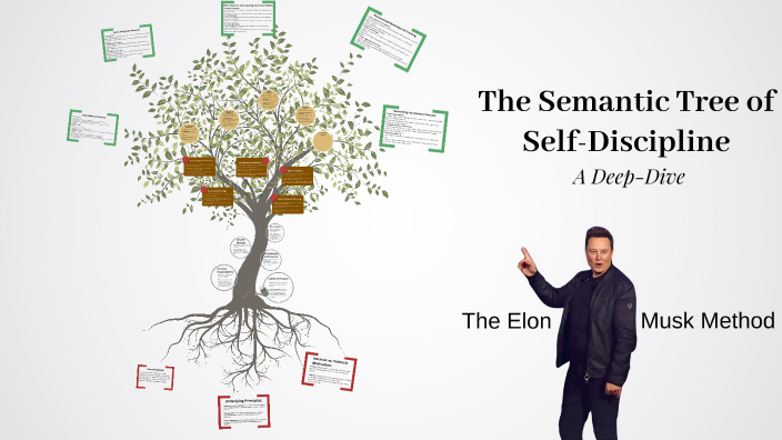 The Semantic Tree of Self-Discipline by Payton Bilodeau on Prezi