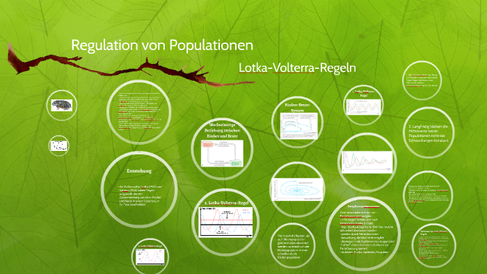 Lotka-Volterra-Regeln by Lisa Kieli on Prezi