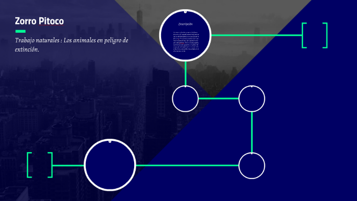 Zorro Pitoco by tu mami coto yo te conozco on Prezi
