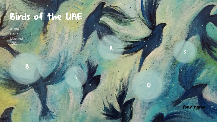 Birds of the UAE by aisha waleed on Prezi