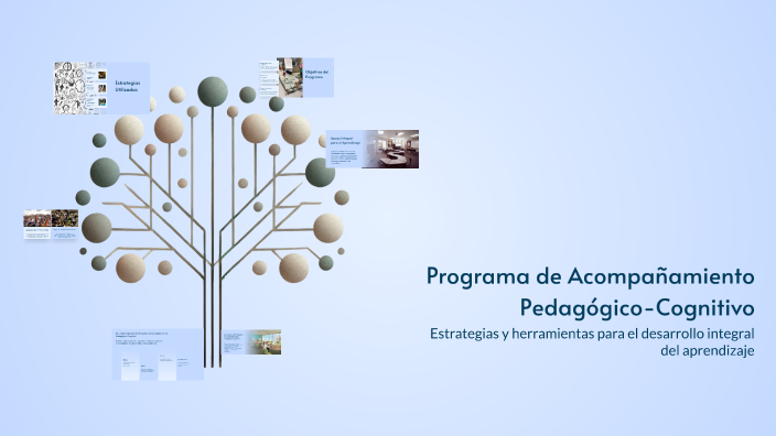 Programa de Acompañamiento Pedagógico-Cognitivo by SIMON VALENTE ...