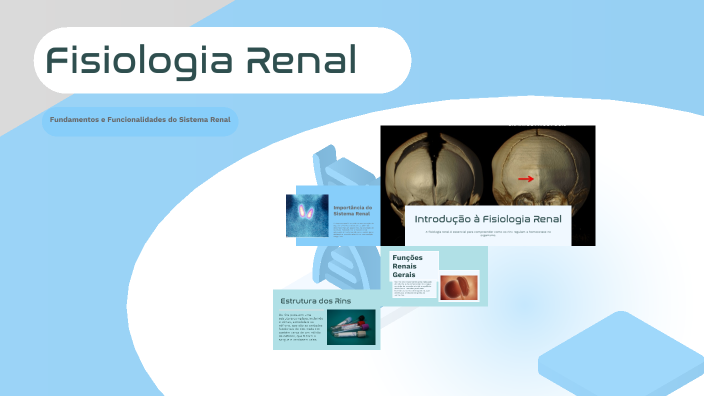 Fisiologia Renal by Victória Tenório on Prezi