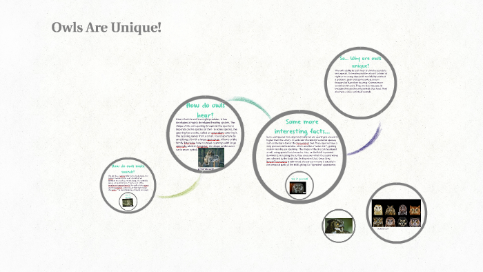 Why are owls unique? by Raji Scoggin on Prezi