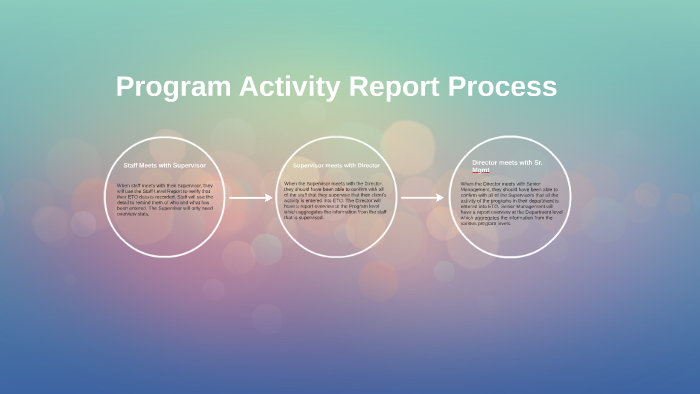 Program Activity Report Process by Emmanuel Freeman