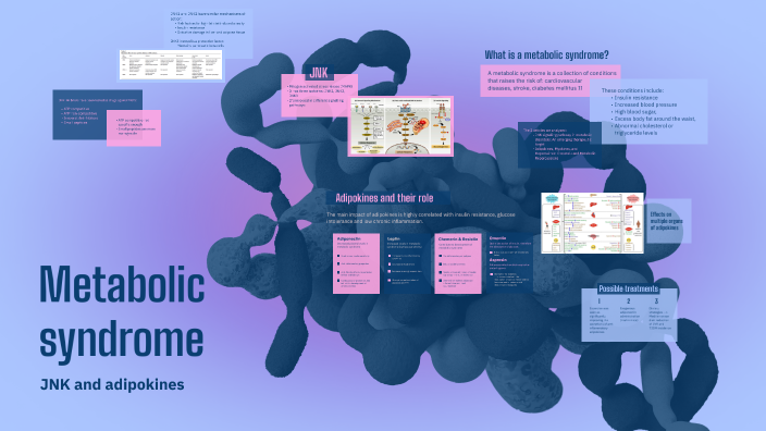 Metabolic syndromes and obesity by Anna Andreoli on Prezi