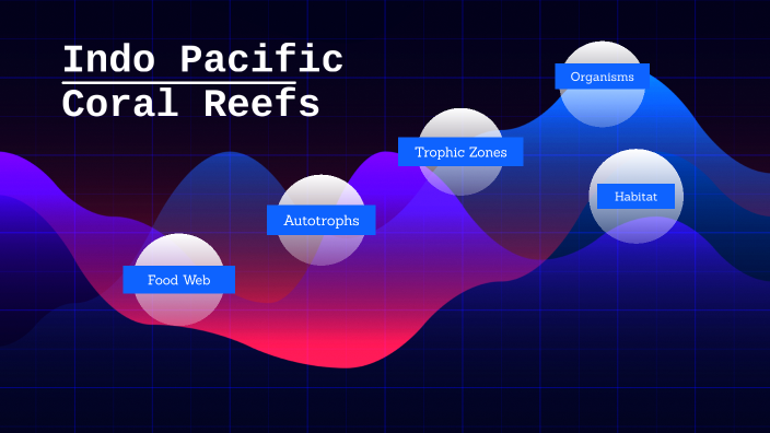 Coral Reefs (Indo-Pacific) by Laney Beal on Prezi