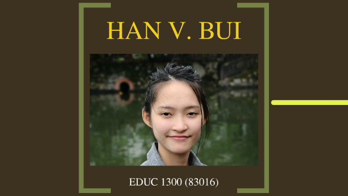HAN BUI VIET by han BUI