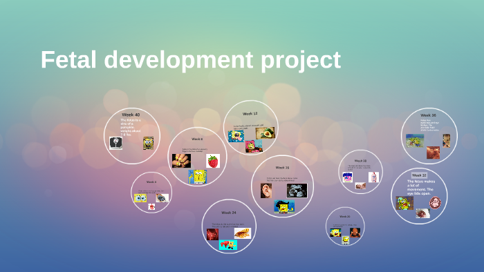 Fetal development project by Abdullah Mohamed on Prezi