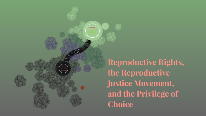 Reproductive Rights, the Reproductive Justice Movement, and by Anay ...