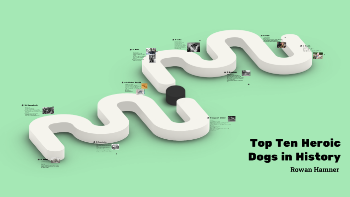 Top Ten Heroic Dogs in History by Rowan Hamner on Prezi