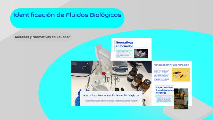 Identificación de Fluidos Biológicos by Helenys Guevara on Prezi