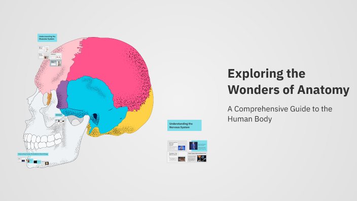 Exploring the Wonders of Anatomy by PRANATHI MATTAPARTHY on Prezi