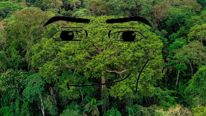 South American Tropical Forest by Shane Browder on Prezi