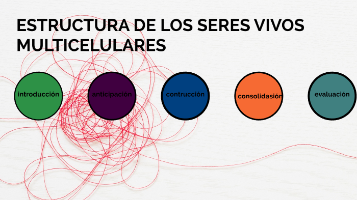 UNIDAD 3 B2 BGU:ESTRUCTURA DE LOS SERES VIVOS MULTICELULARES by ueabl1 ...