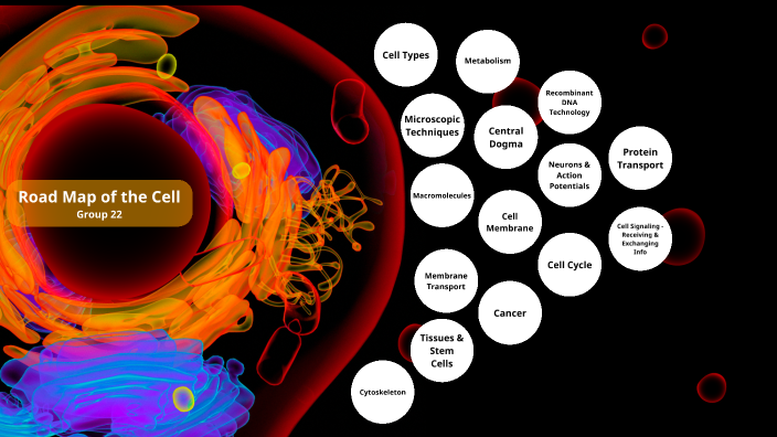 Cell Road Map by Zachary Catalano on Prezi