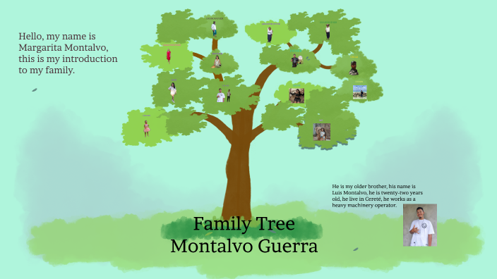 Family tree by Ligia Margarita Montalvo Guerra on Prezi
