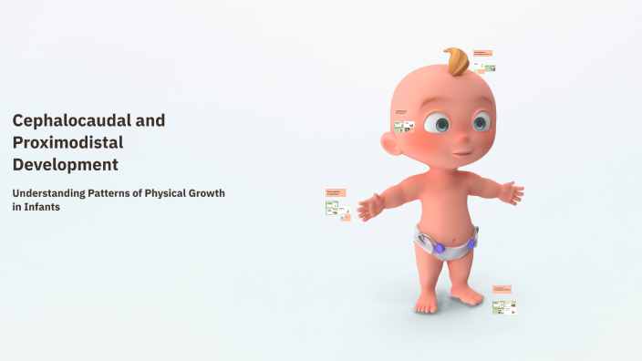 Cephalocaudal and Proximodistal Development by Lisa Chafin _ Staff ...