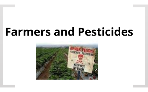 Short and Long Term Environmental Effects by Melissa Flores on Prezi