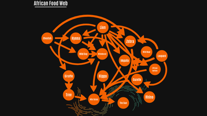 African Food Web by Lewis Loree on Prezi