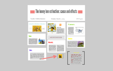 The honey bee extinction: cause and effects by on Prezi