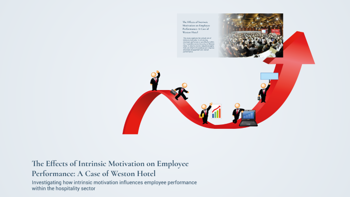 The Effects of Intrinsic Motivation on Employee Performance: A Case of ...