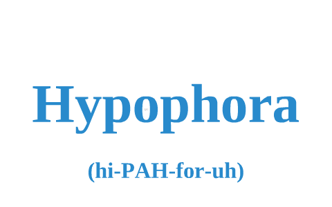 Hypophora by Edward Liu on Prezi