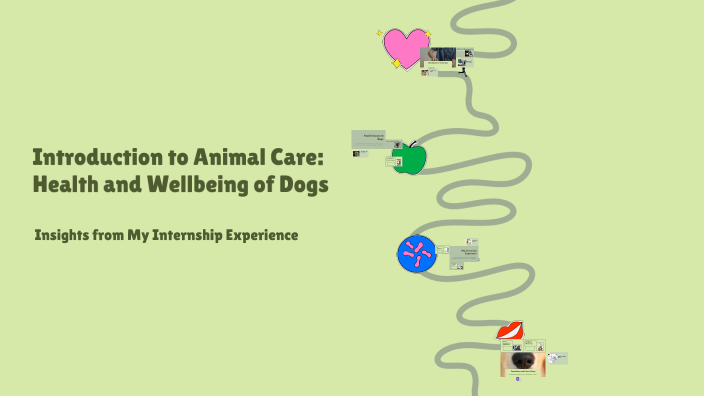 Introduction to Animal Care: Health and Wellbeing of Dogs by audrey de ...