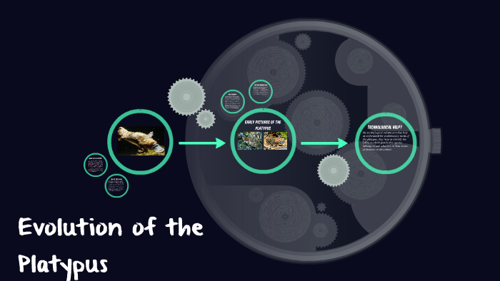 Evolution of the Platypus by Brandon Tran on Prezi